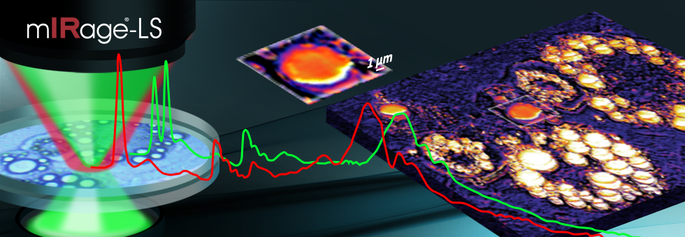 C&EN Webinars - Live Cell Imaging Using Sub-Micron IR Spectroscopy